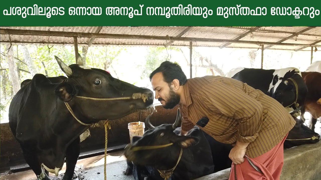 ഹോമിയോപ്പതി ക്ഷീര മേഖലയിൽ പ്രയോജനപെടുത്തി അനൂപ് നമ്പൂതിരി/importance ...