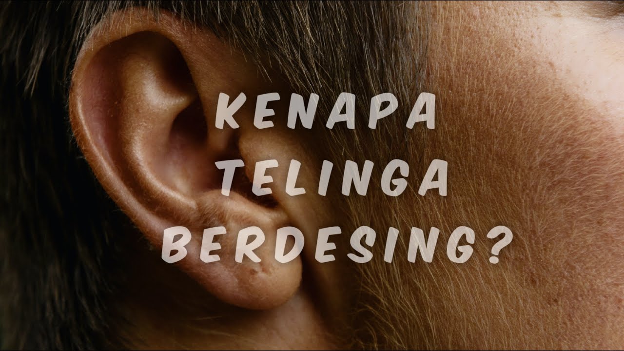 Kenapa Telinga Berdesing? - YouTube