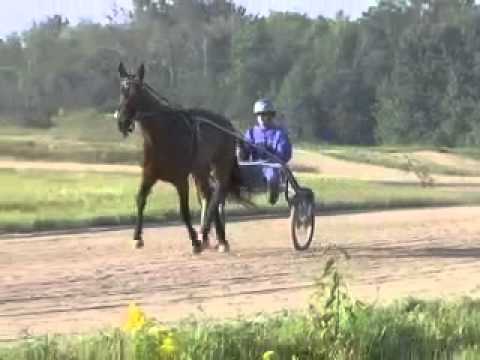 Roger Mayotte - YouTube