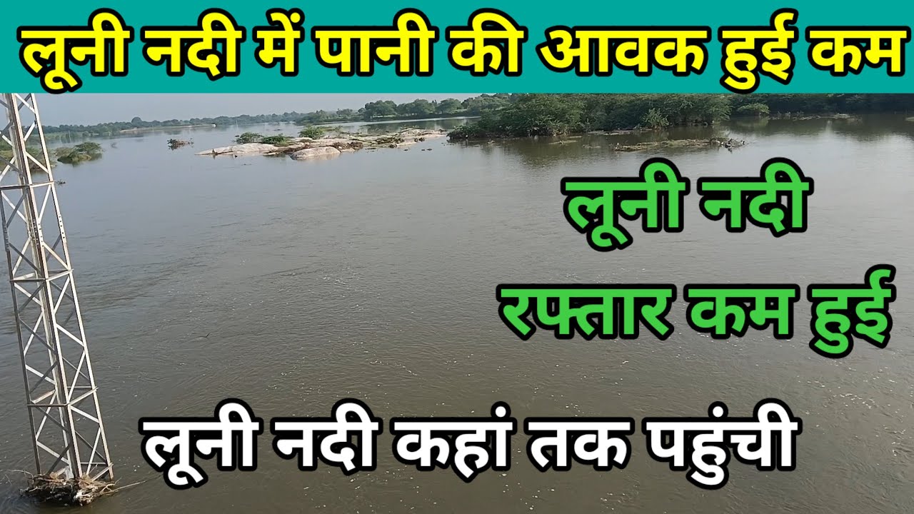 लूनी नदी में पानी की आवक हुई कम ।। लूनी नदी कहां तक पहुंची ।। लूनी नदी ...