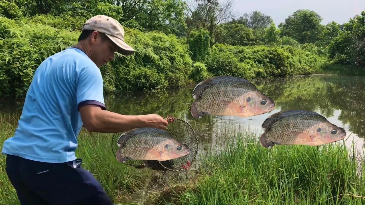 Large perch trap in abandoned pond - YouTube