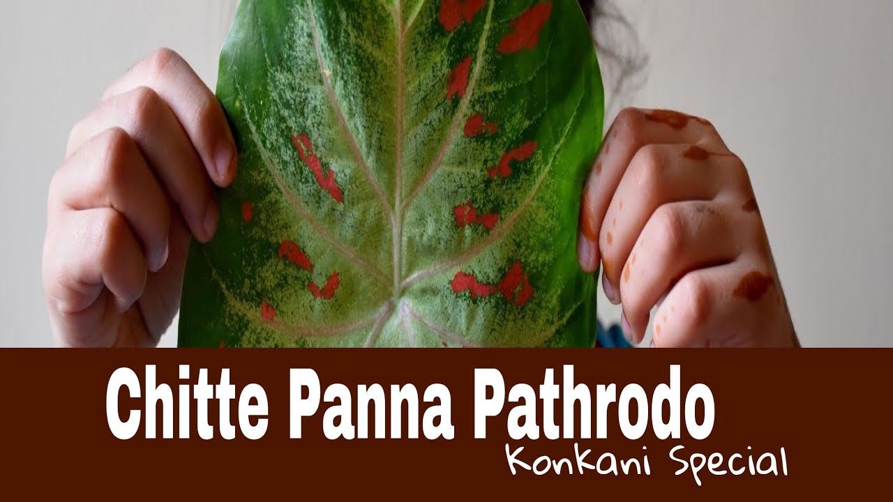 Konkani special PATRODO - YouTube