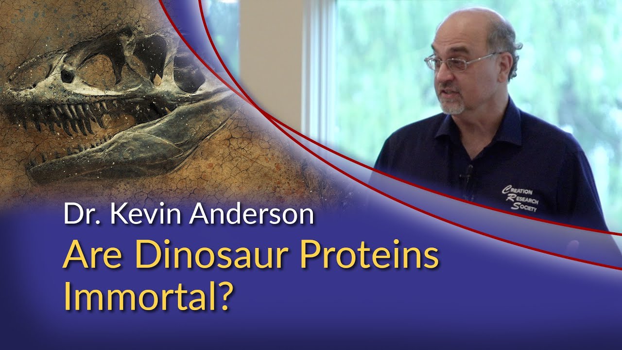 Dr. Kevin Anderson - Are Dinosaur Proteins Immortal? - YouTube