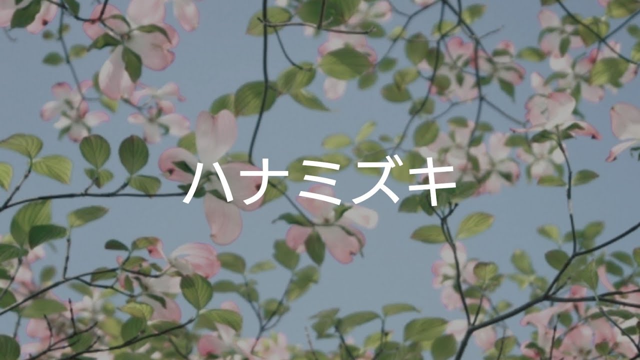 cover by Bloom～ハナミズキ (Hanamizuki) 一青窈(You Hitoto) - YouTube