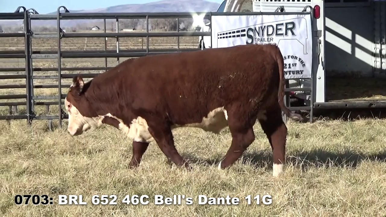 0703 Bell Ranch - YouTube