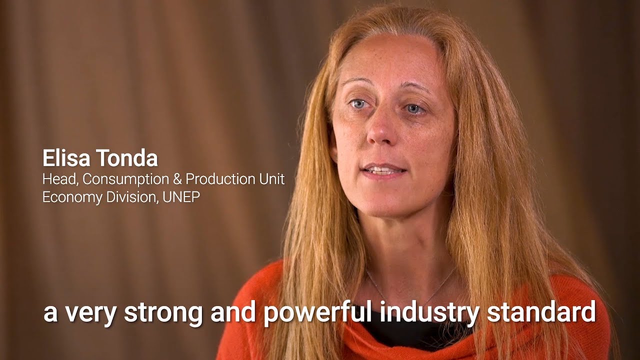 Global Tailings Review – Elisa Tonda, UNEP - YouTube