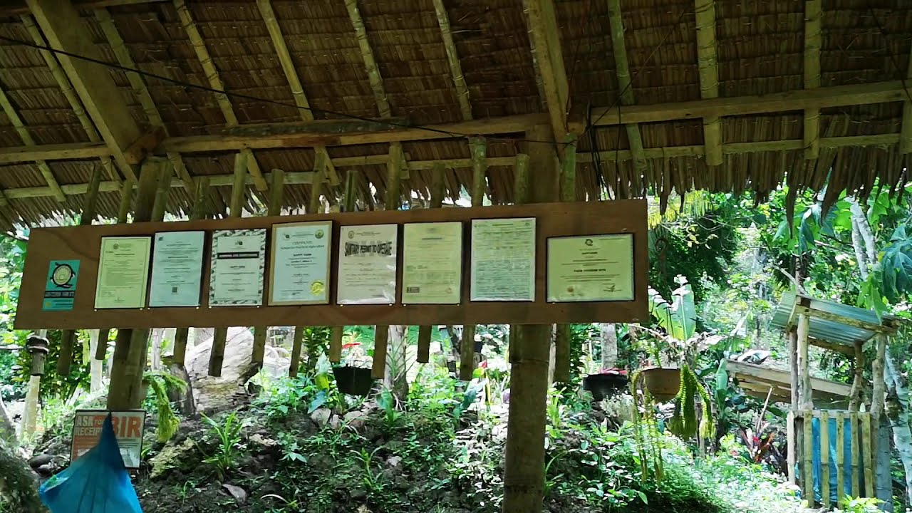 ORGANIC PRUTAS AT GULAY SA HAPPY FARM BAGONG SILANG - YouTube