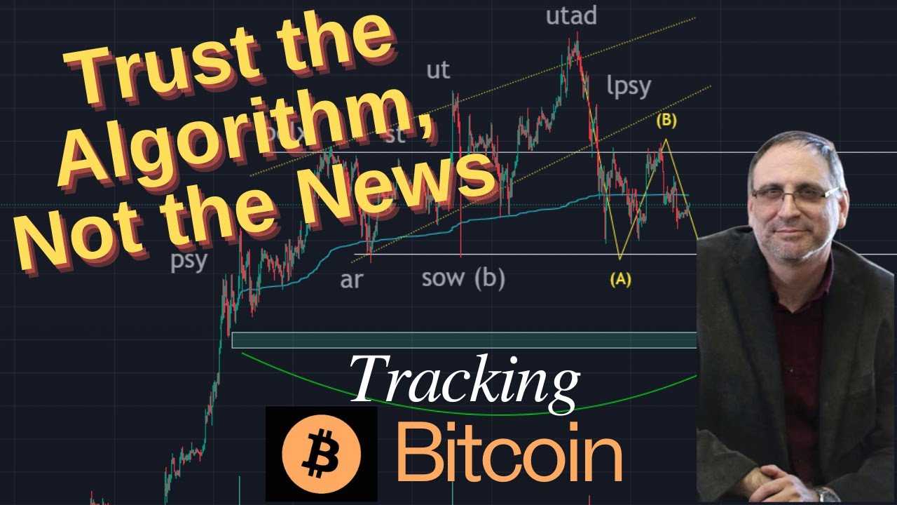 Tracking Bitcoin: Trust the Algorithm, Not the News #btc #bitcoin # ...