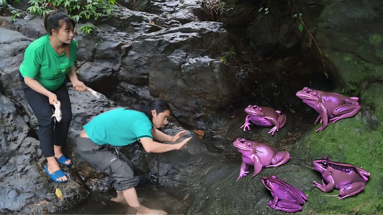 how to make rice yeast to make wine, catch stream frogs, take care of ...