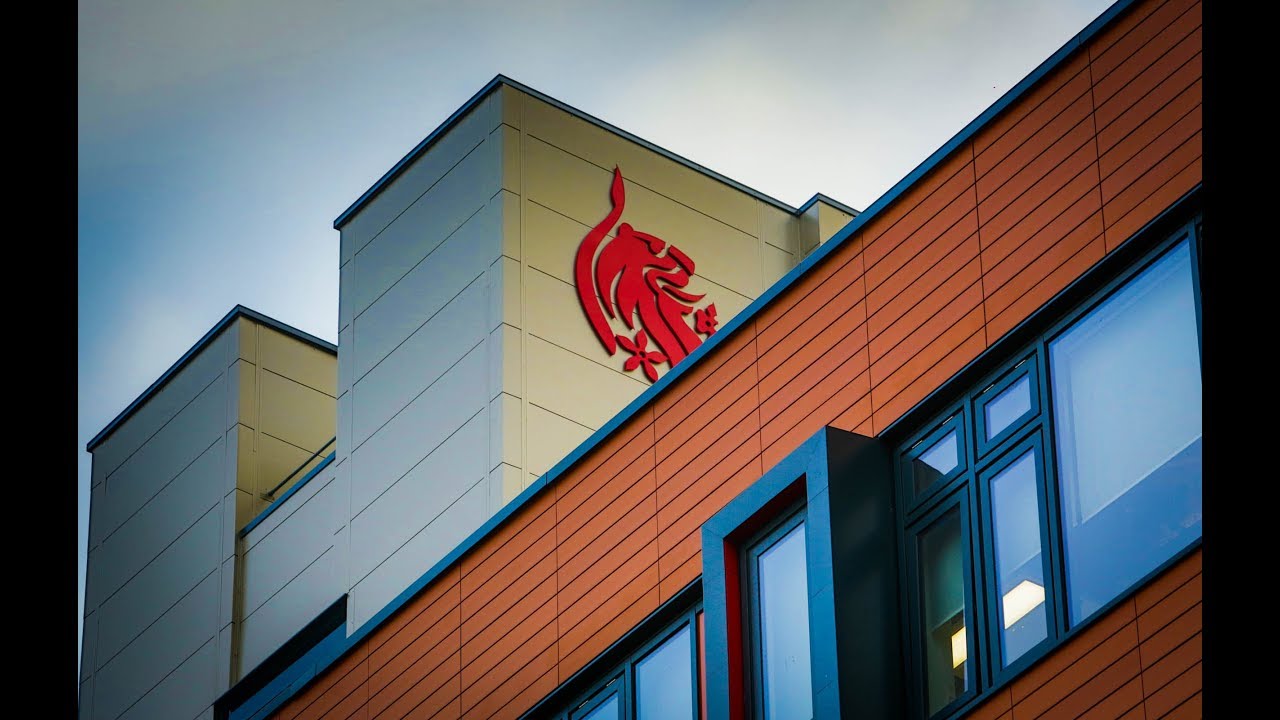 The DMU lion... how he came to be - YouTube