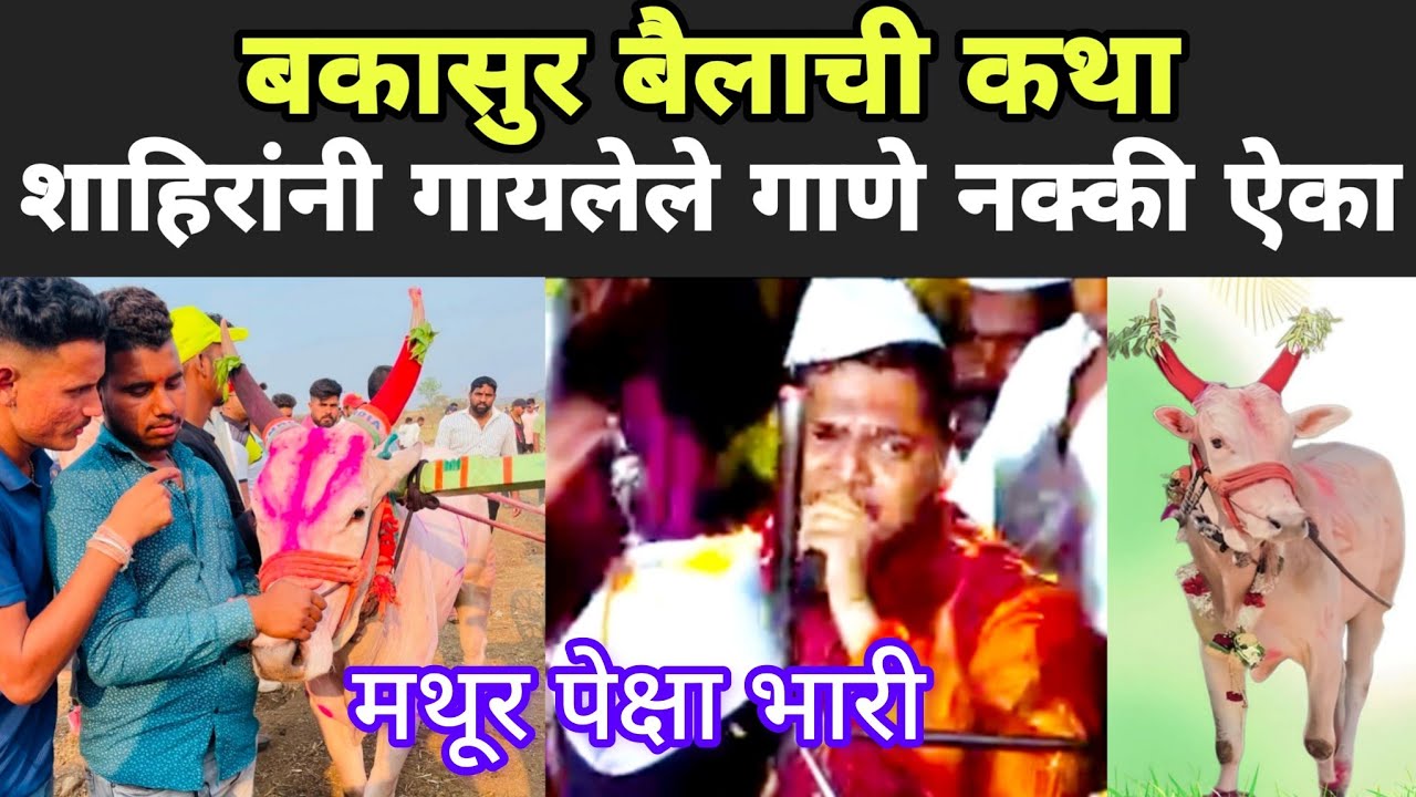 बकासुर बैलाची कथा नक्की ऐका मित्रांनो | Bakasur Bail song | शाहिरांचे ...