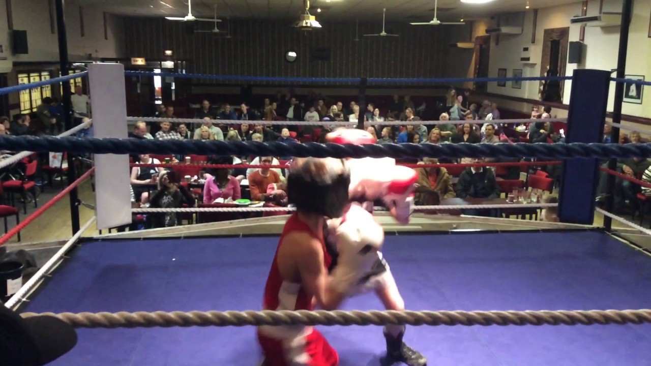 Seth & Reece 2016 - YouTube