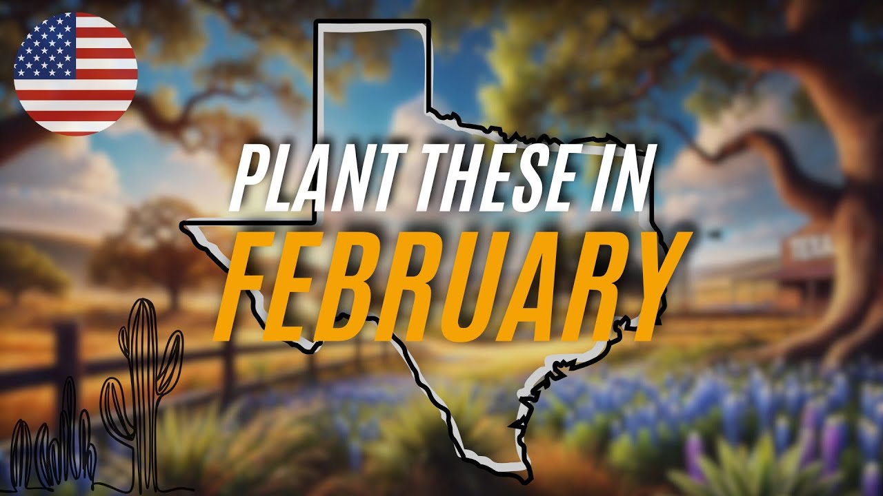 Texas's February Garden Guide| What to Plant Now for a Spring Harvest ...