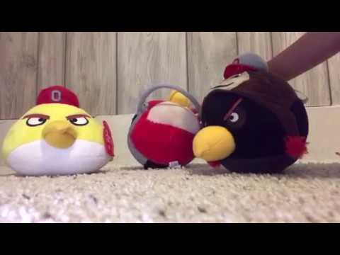 The ANGRY BIRDS play FOOTBALL!!!!!! - YouTube