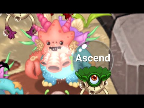 Adult Hornacle ascended | Only one to go on Celestial Island - YouTube