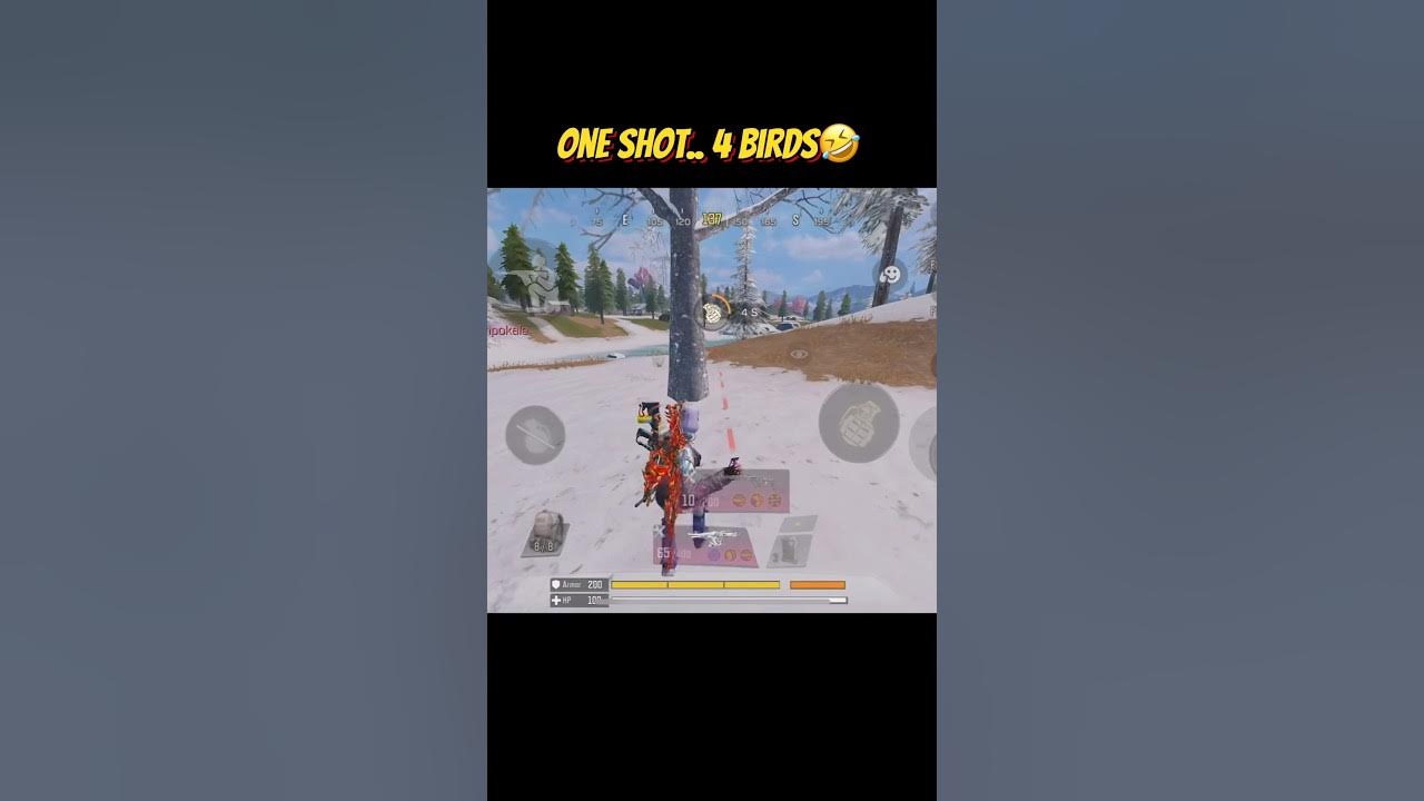 1 shot 4 birds😂 #codm #callofduty #codmobile #codmlive #brokencodm #codmobilegameplay # ...