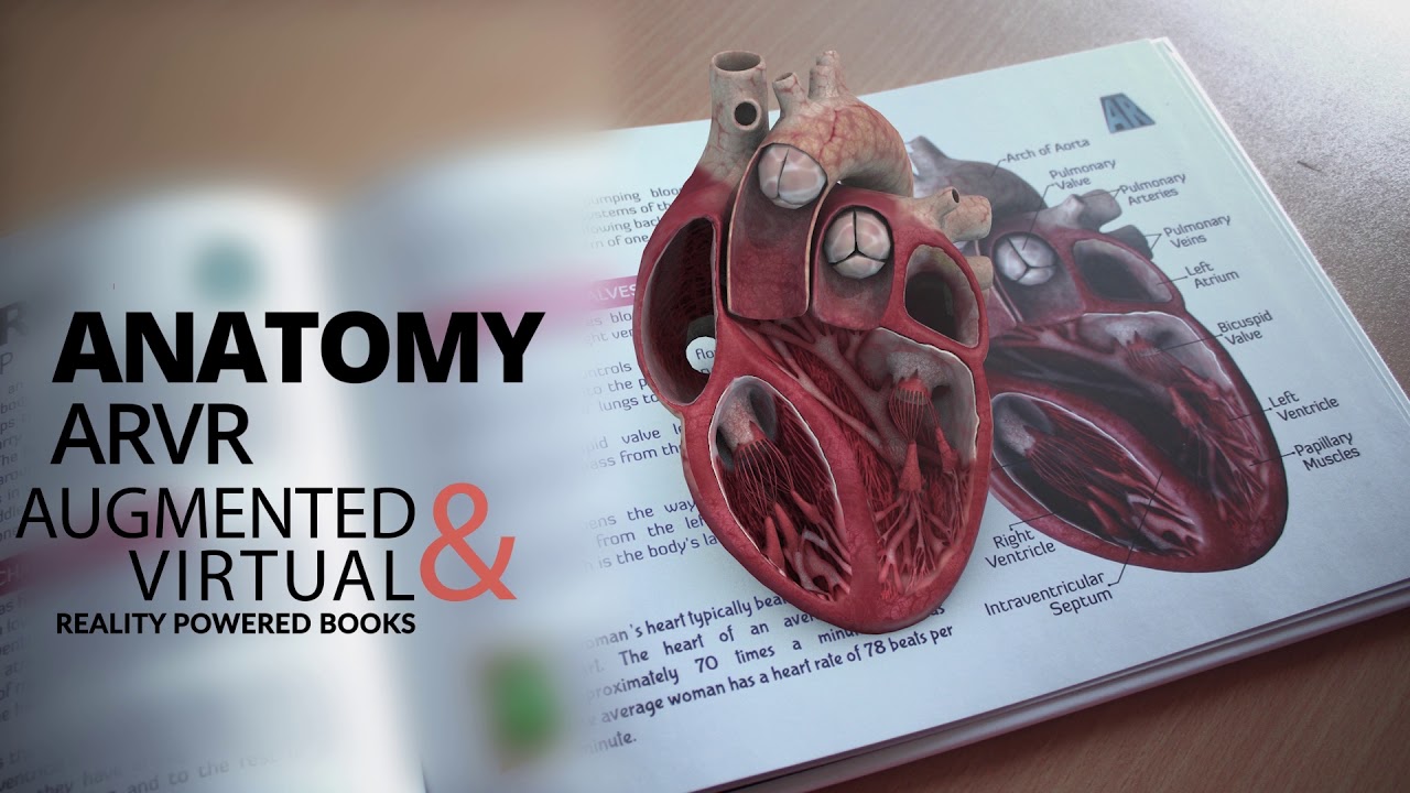 Anatomy ARVR - YouTube