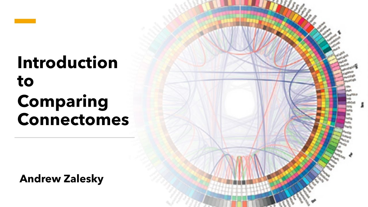 Introduction to Comparing Connectomes - YouTube