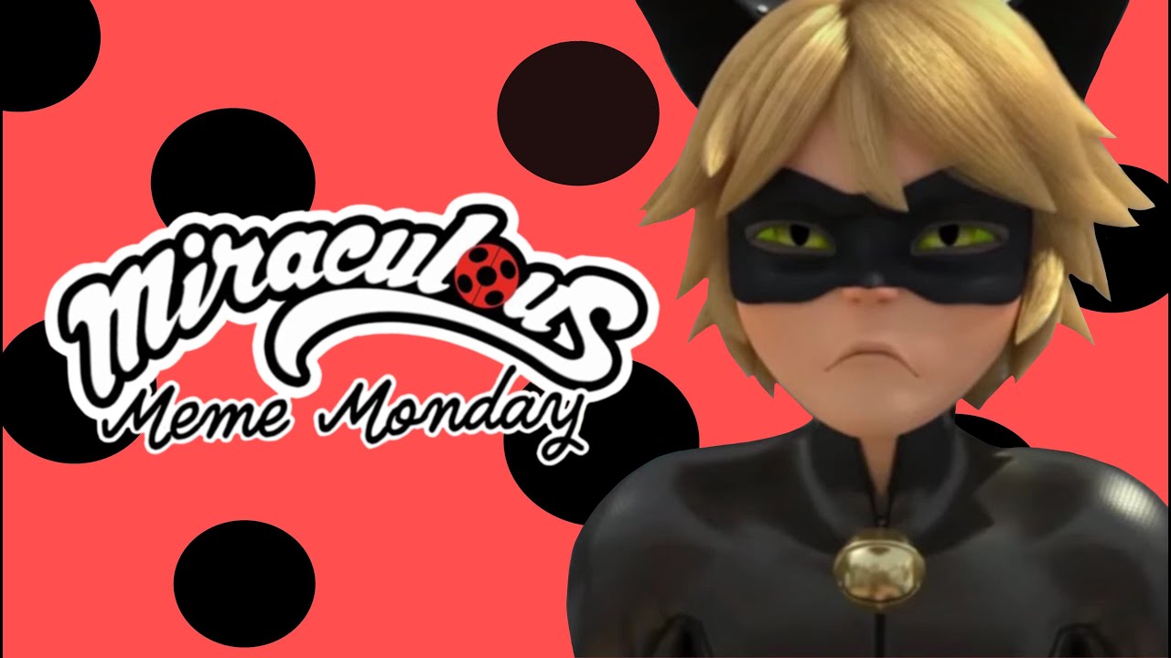Miraculous Monday Meme Review #28 🐞 - YouTube