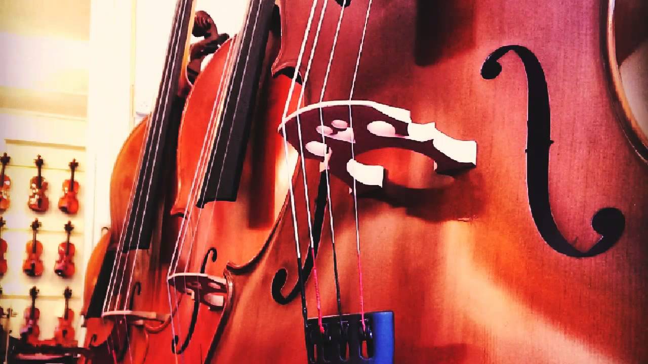 Strijkinstrumenten van Muziekhandel Reichenbach - YouTube