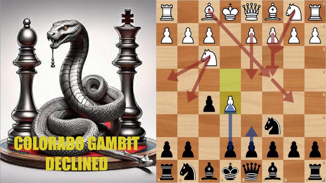 COLORADO GAMBIT DECLINED WITH SAMPLE GM GAMES THIS IS A MUST WATCH 2024 ...