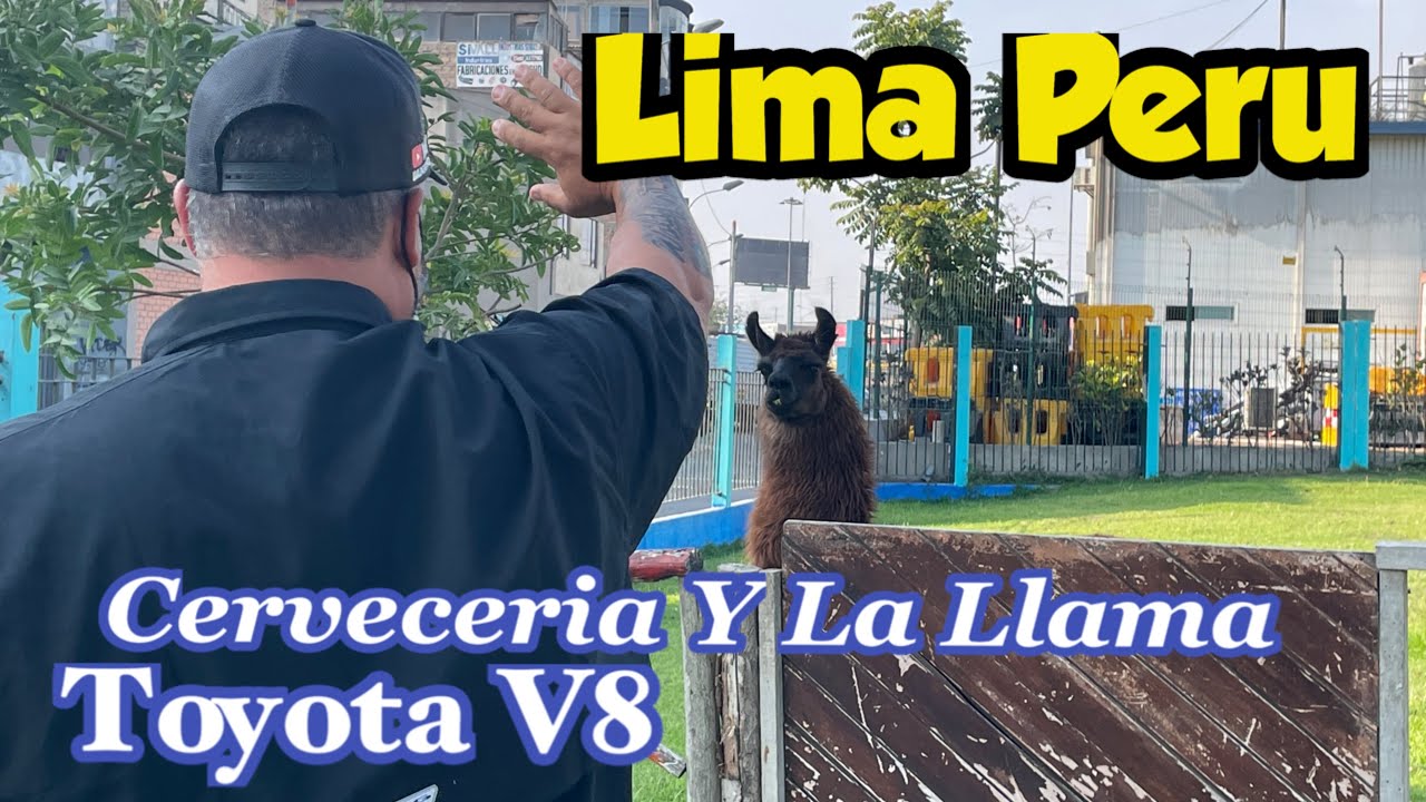 Cervecería Artesanal y encontré la Llama en Lima Peru by Waldys Off ...