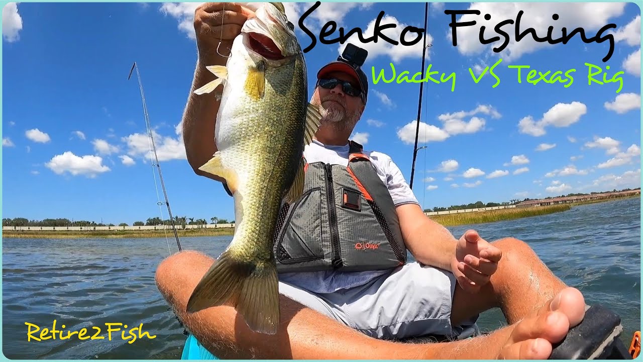 SENKO Fishing for Big Bass; Wacky Rig vs Texas Rig - YouTube