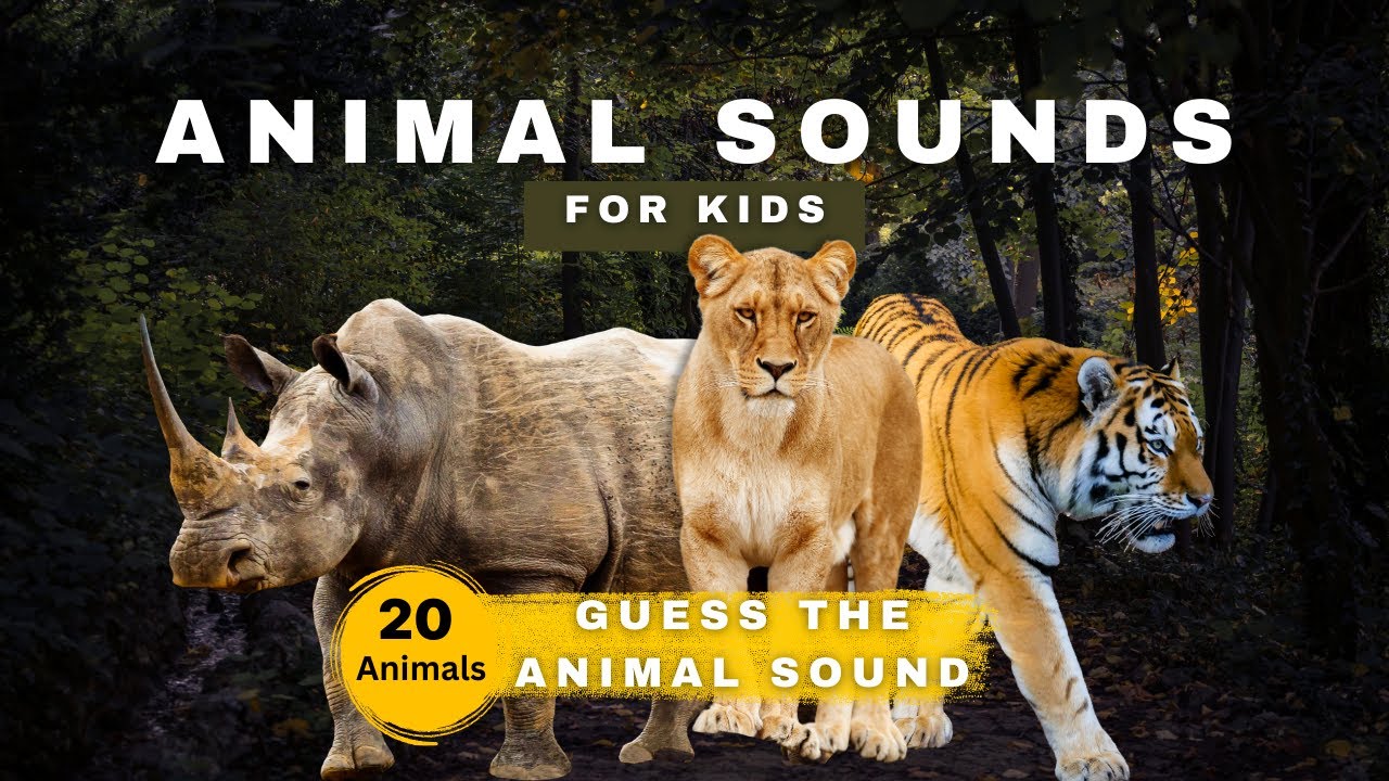 20 Fun Animal Sounds for Kids | Learn and Guess the Animals |Kids ...