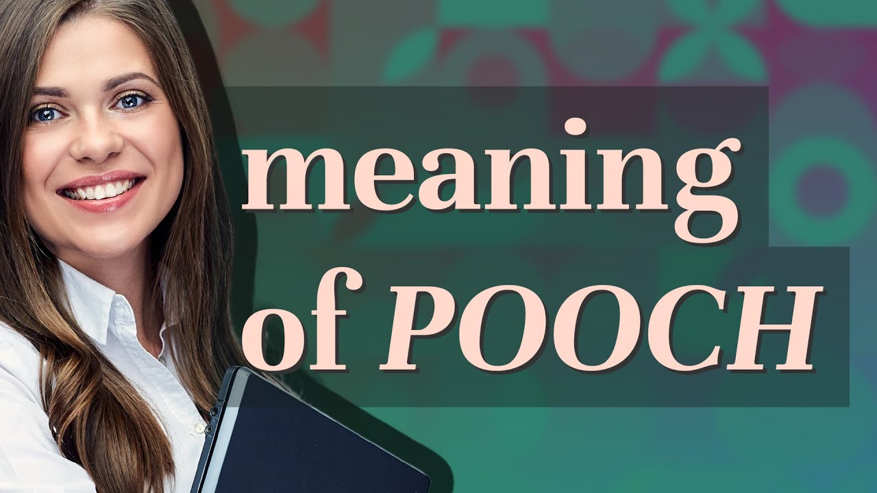 Pooch | meaning of Pooch - YouTube