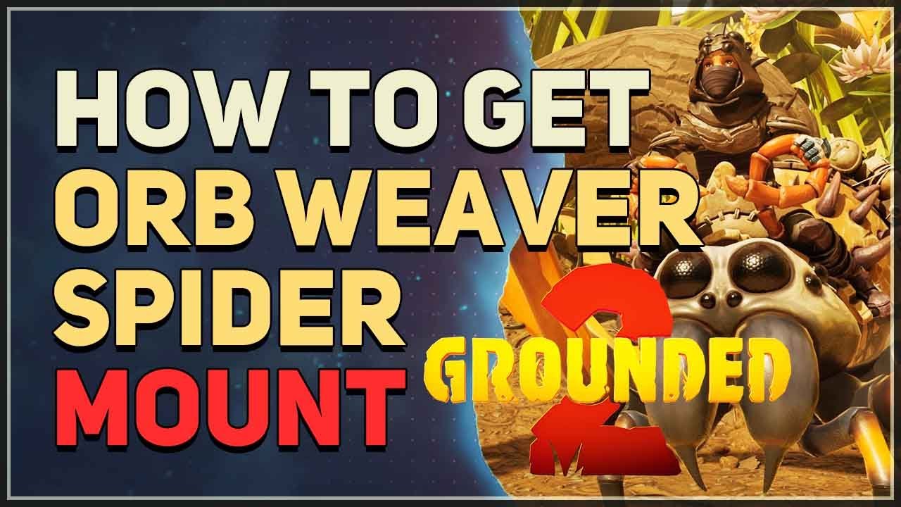 How to get Orb Weaver Spider Mount Grounded 2 - YouTube