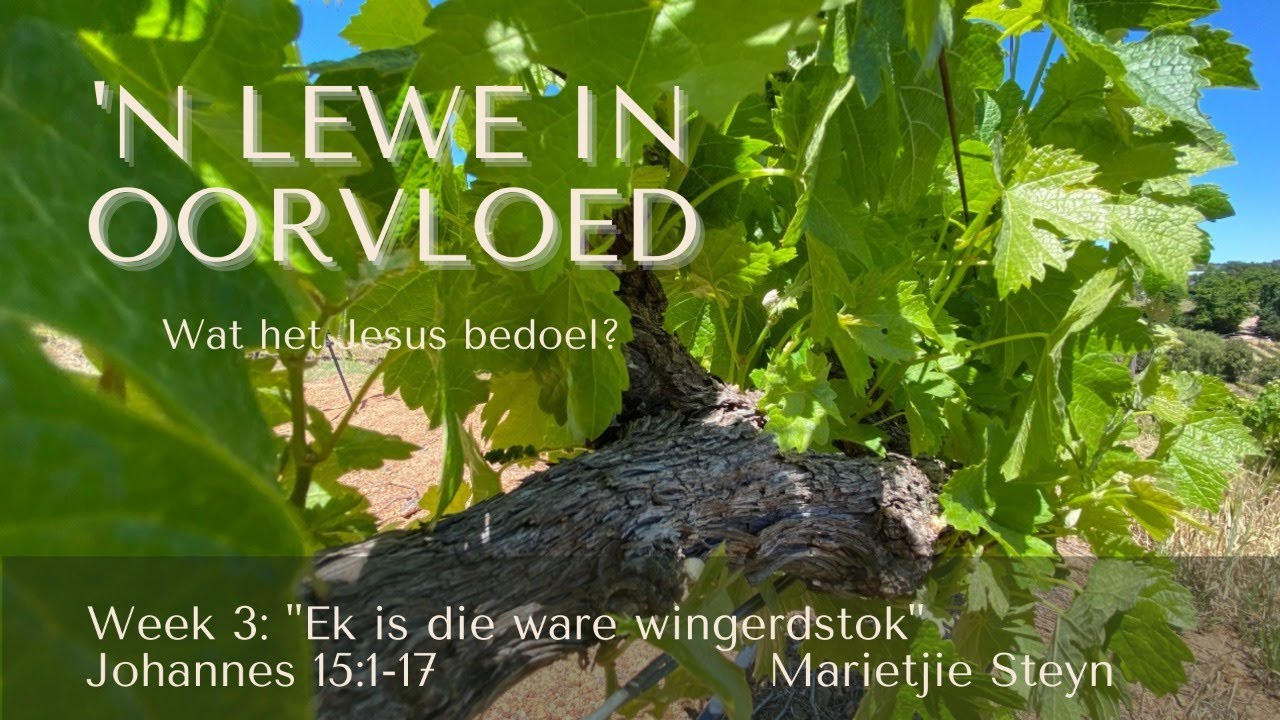 Week 3: Ek is die ware wingerdstok - YouTube