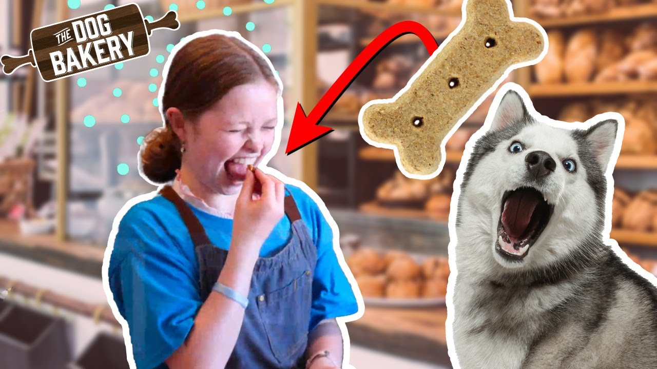 Salish Matter Eats Dog Treats to Save Dogs | Dog's Day Out - YouTube