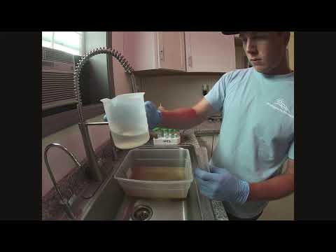 Nematode Extraction From Roots - YouTube