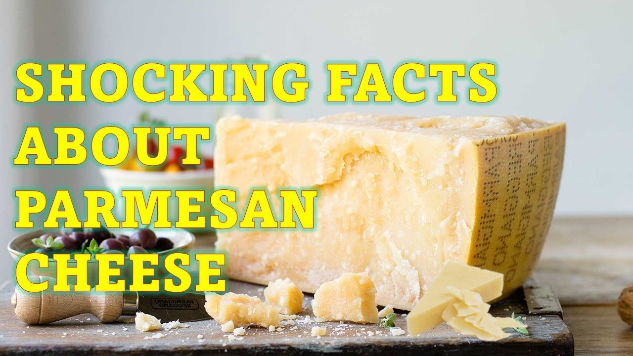 10 SHOCKING FACTS ABOUT PARMESAN CHEESE THAT YOU DON'T KNOW || SECRET ...