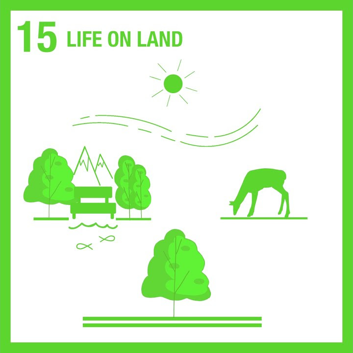 UN SDG 15 Summary Animation—Life on Land - YouTube
