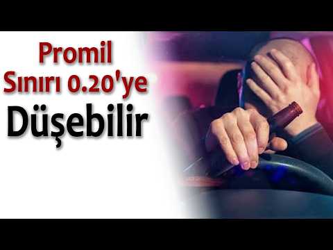 Alkollü Sürücülerin Ehliyetine El Konulacak