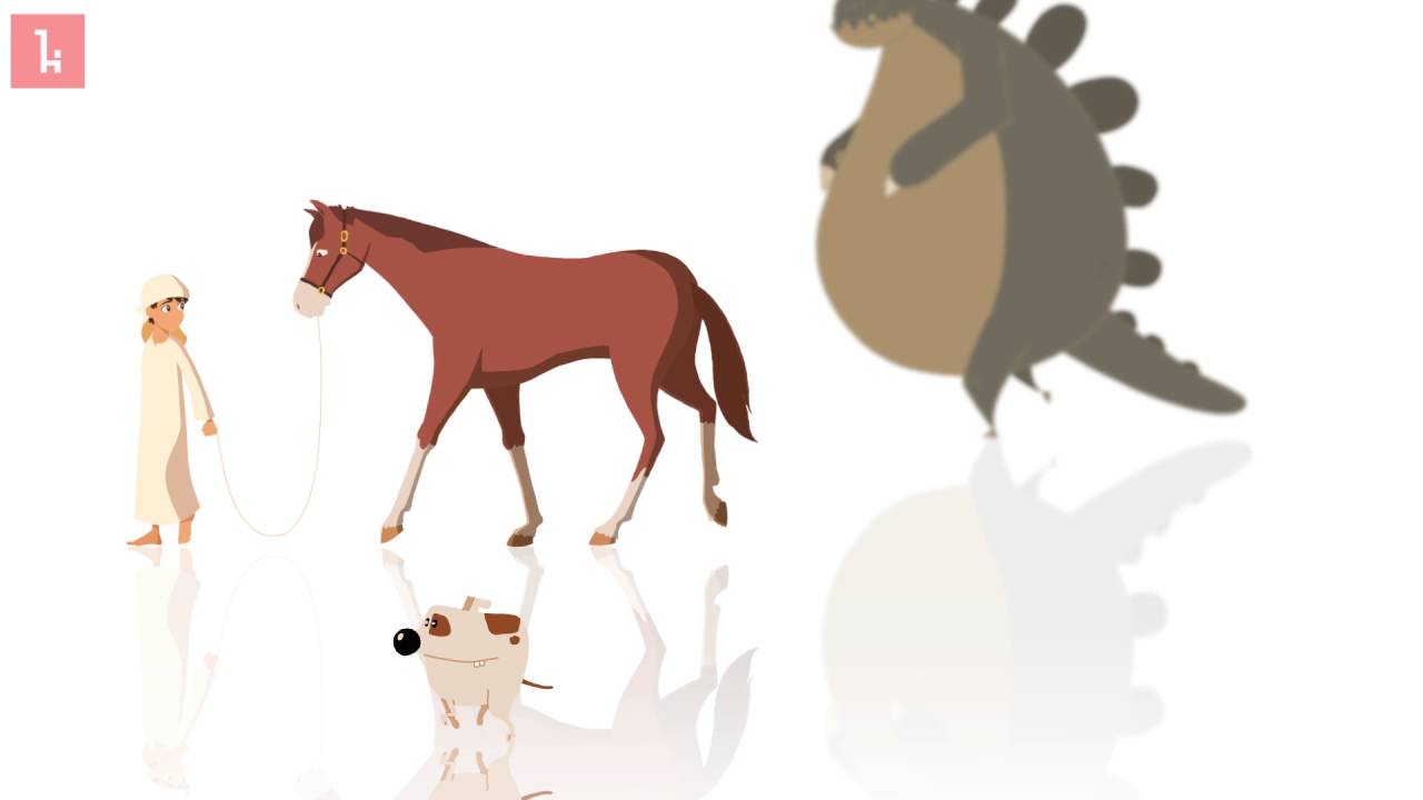 sample animals - YouTube