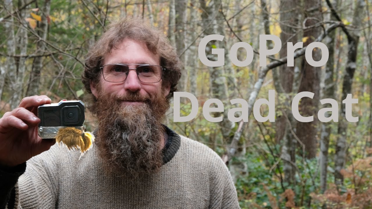 GoPro Dead Cat - YouTube