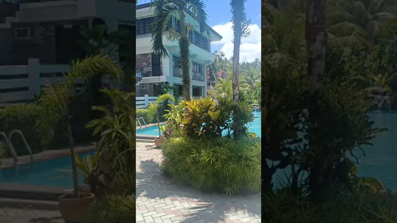 Chasing Serenity | Peaceful Travel & Reflections - YouTube