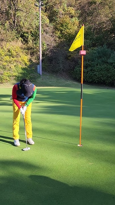딱1미터 내리막 레이디오케이 없씀다😱ㅋ골프골프존스크린골프nx골프존cc필드필드골프필드레슨웨지퍼터아이언비거리골프레슨숏게임숏아이언드라이버롱아이언우드