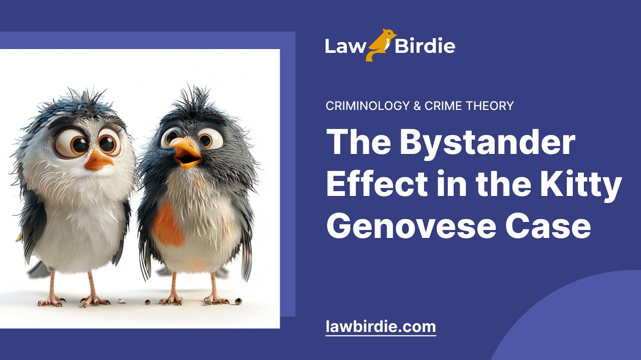 The Bystander Effect in the Kitty Genovese Case - Essay Example - YouTube