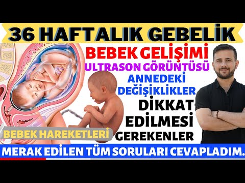 36 Haftalık Gebelik (2025)