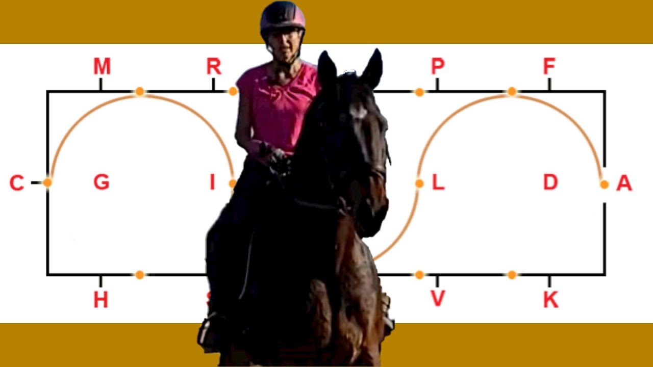 How to use a Serpentine Exercise to work on a Horse's Responsiveness ...