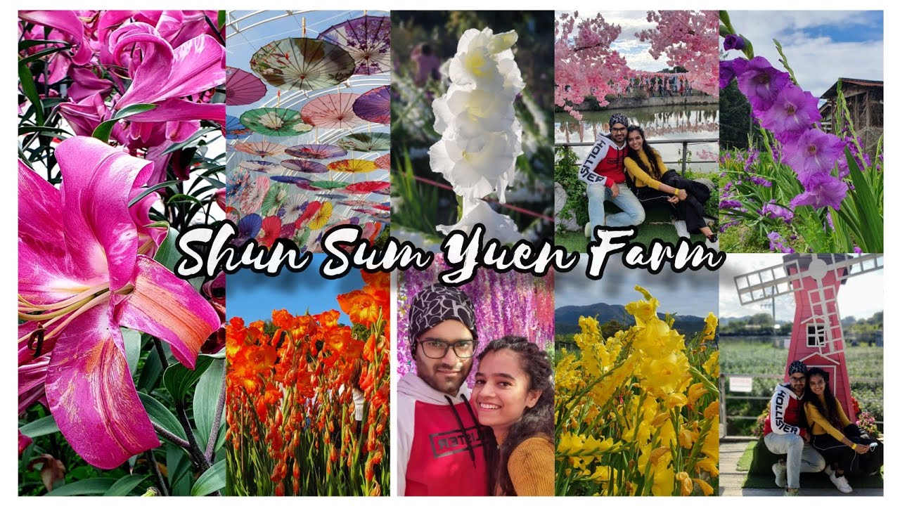 Shun Sum Yuen Farm- San Tin in Yuen Long | Hong Kong | Pallavi Rohit ...