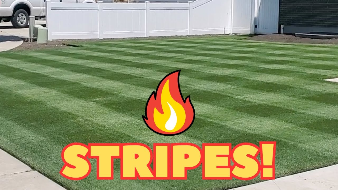 LAWN OBSESSION: We Can't Stop Mowing, STRIPING, Trimming, And Raking ...
