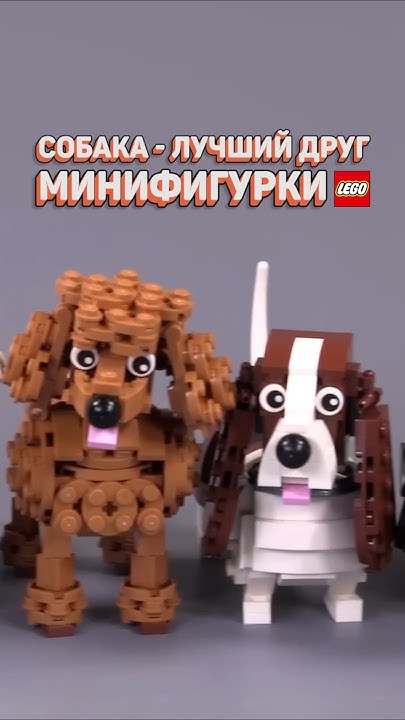 ЩЕНЯЧИЙ ПАТРУЛЬ В ЛЕГО? #рарибрик #лего #lego #dogs #собаки #bestfriend ...