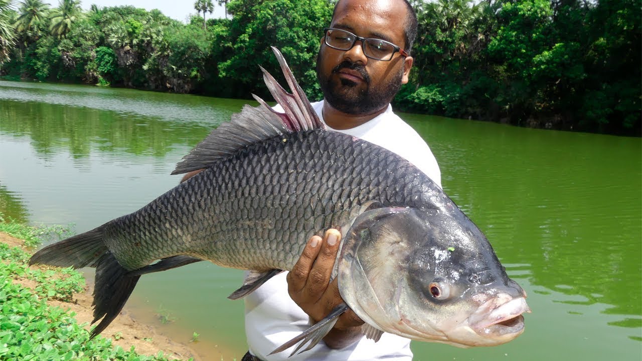 బొచ్చు చేపలు మామిడి కాయ కూర | Bochu Fish and Mango Curry | Traditional ...