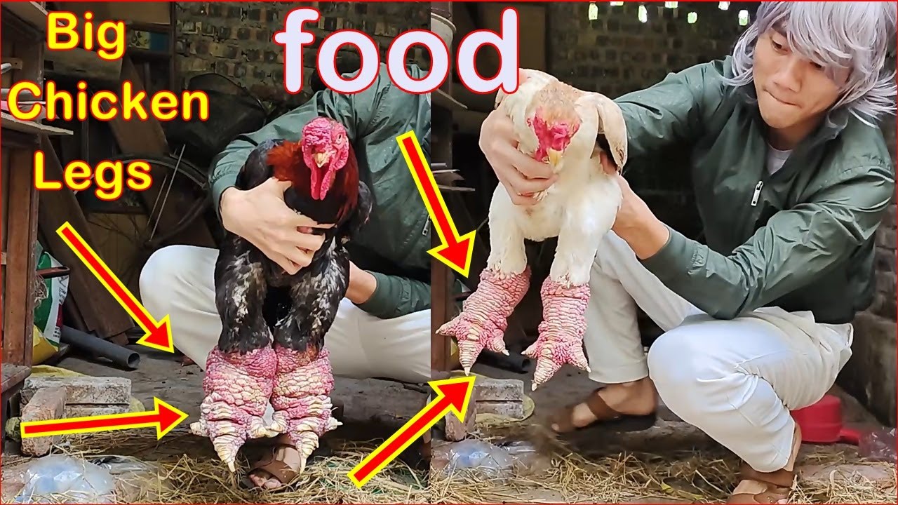 Simple Preparation of Big Chicken Legs Food - Big Chicken Legs - YouTube