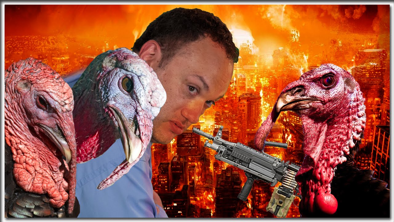 Angry Turkey - YouTube