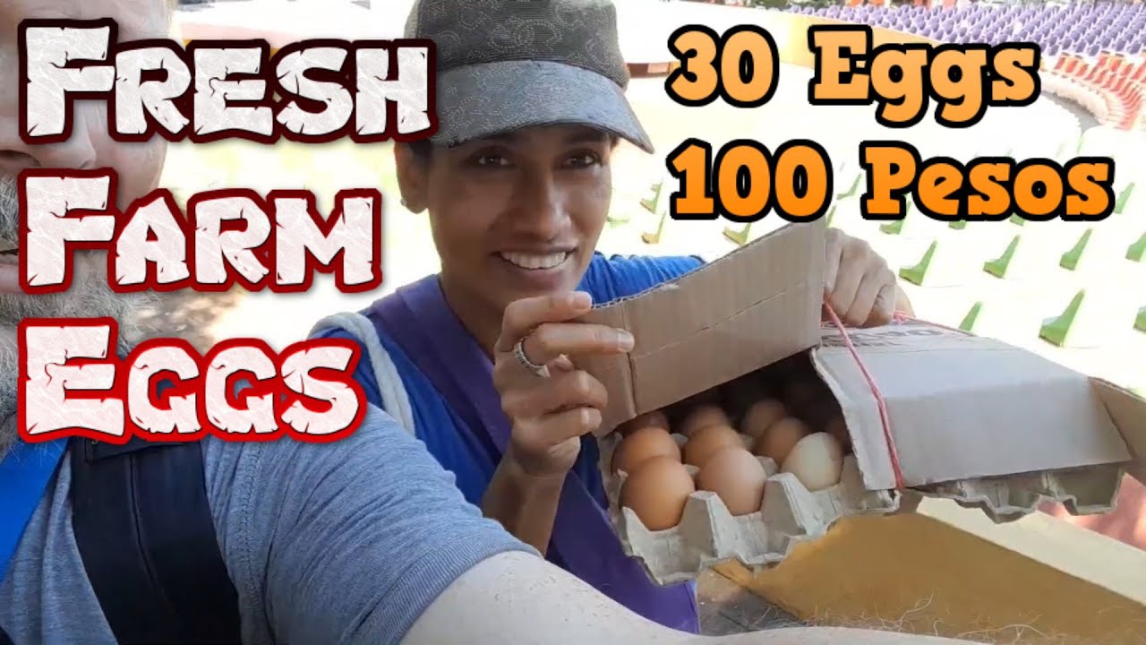 Life In Mexico - Fresh Farm Eggs At The Local Market - YouTube